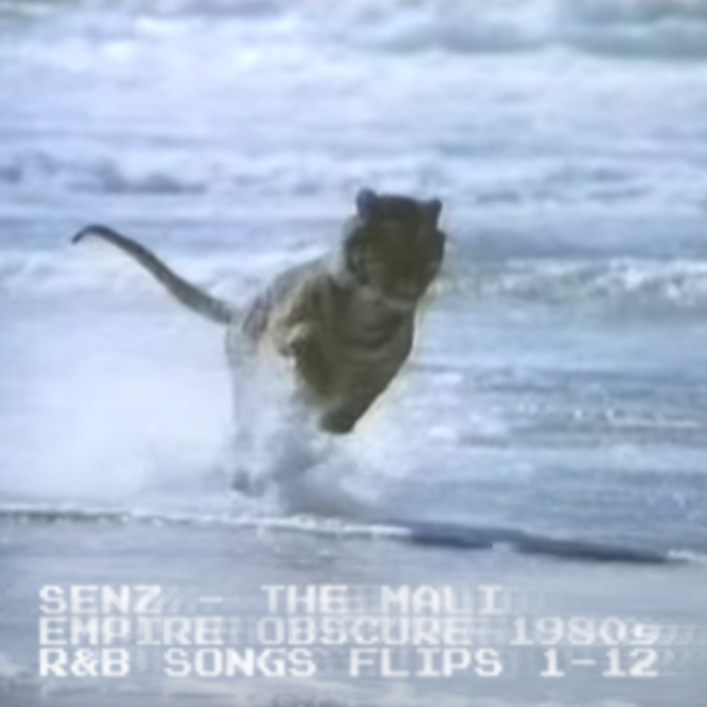SENZ – THE MALI EMPIRE OBSCURE 1980s RNB FLIPS #1 - 12 (2024) – Senz Beats